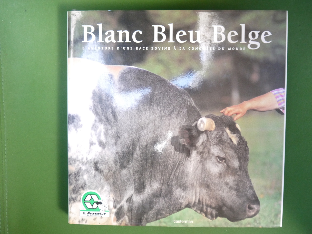 Bouquinerie Belgicana +++ Blanc bleu belge, divers, Casterman, 1996 - Livres & Belgique